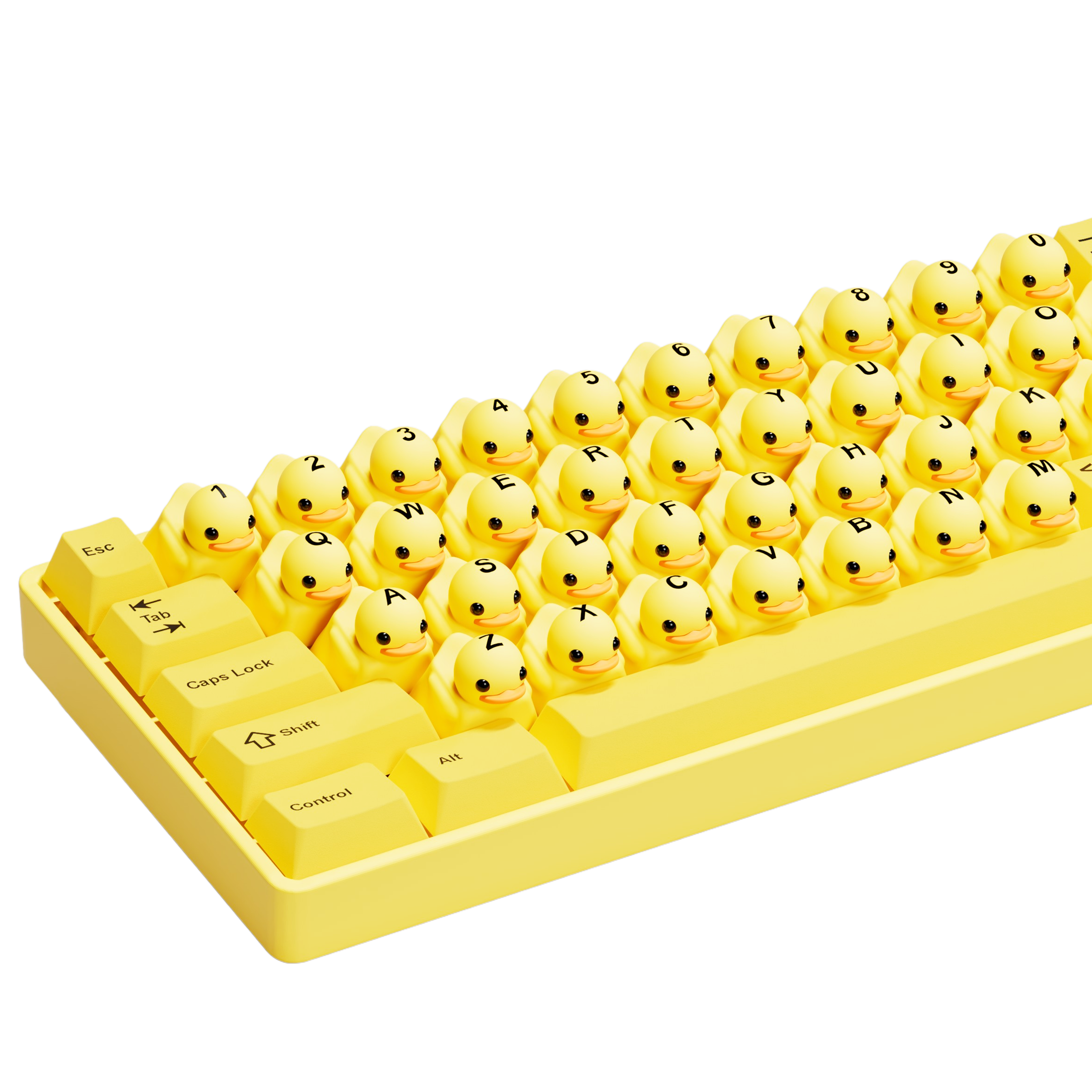 Quackey Fidget Toy – The Quirky Quacking Stress Reliever! – DuckeyCaps